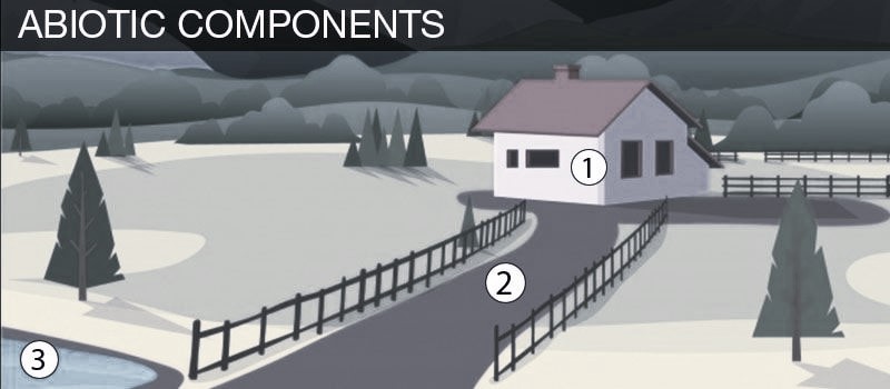 What is Ecology? - Types, Importance And Examples Of Ecology