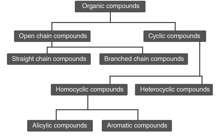 Organic Compounds - Definition, Examples & Classification Of Organic ...