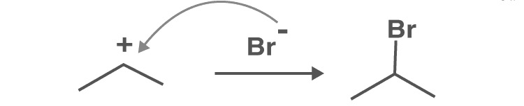 Markovnikov’s Rule: Statement and Explanation with Examples & FAQs