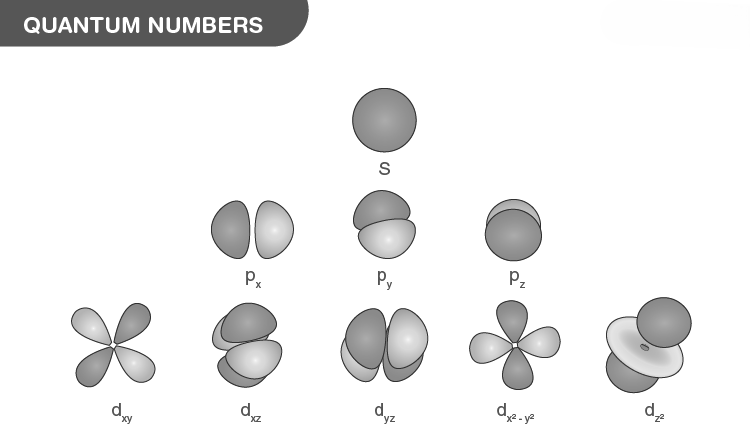 Quantum Numbers (Principal, Azimuthal, Magnetic and Spin) - Definition, Detailed Explanation ...